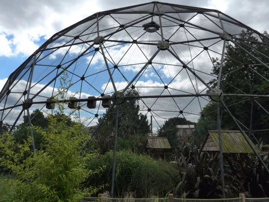 Sparrow Aviary | Have We Met Wiki | Fandom