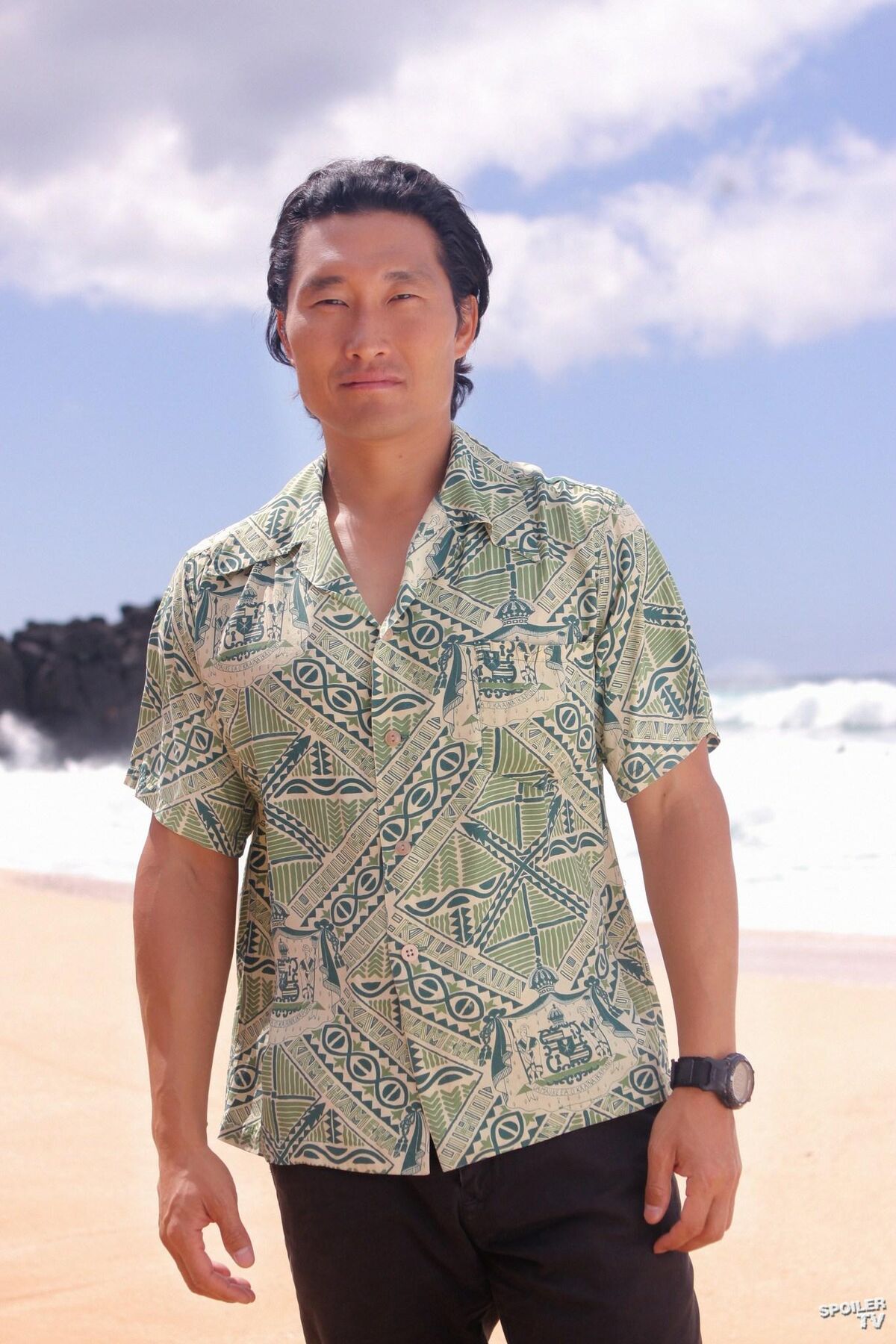 Chin Ho Kelly | Wiki Hawaii 5-0 | Fandom