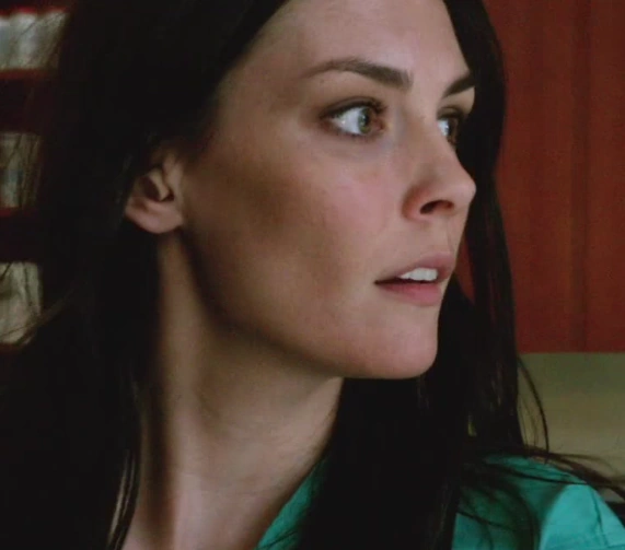 Hillary Chaver | Hawaii Five-O Wiki | Fandom