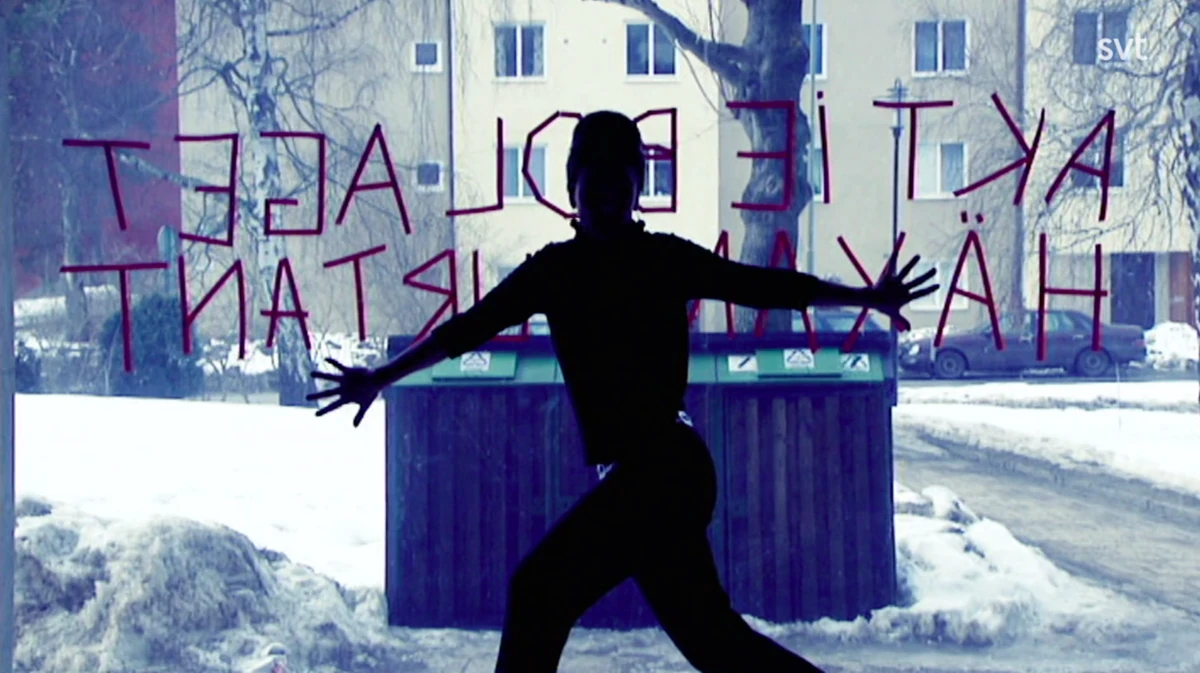 Aktiebolaget Häxan Surtant (serie) | Häxan Surtant Wikia | Fandom