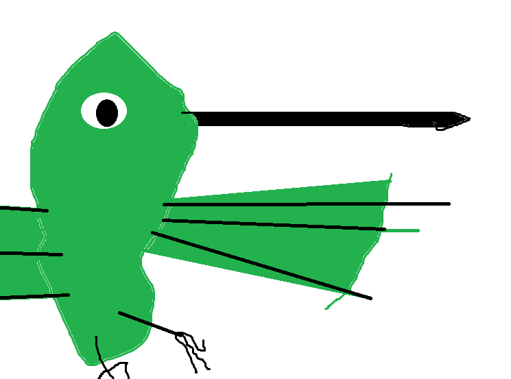 Humming bird | Hay day fanon Wiki | Fandom