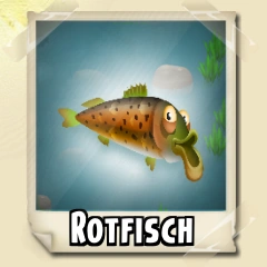 Rotfisch | Hay Day Wiki | Fandom