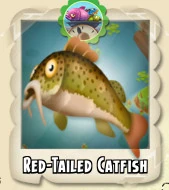 Red-Tailed Catfish | Hay Day Wiki | Fandom