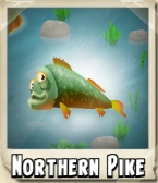Northern Pike | Hay Day Wiki | Fandom