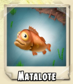 Matalote | Wiki Hay Day | Fandom