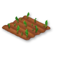 Peony | Hay Day Wiki | Fandom