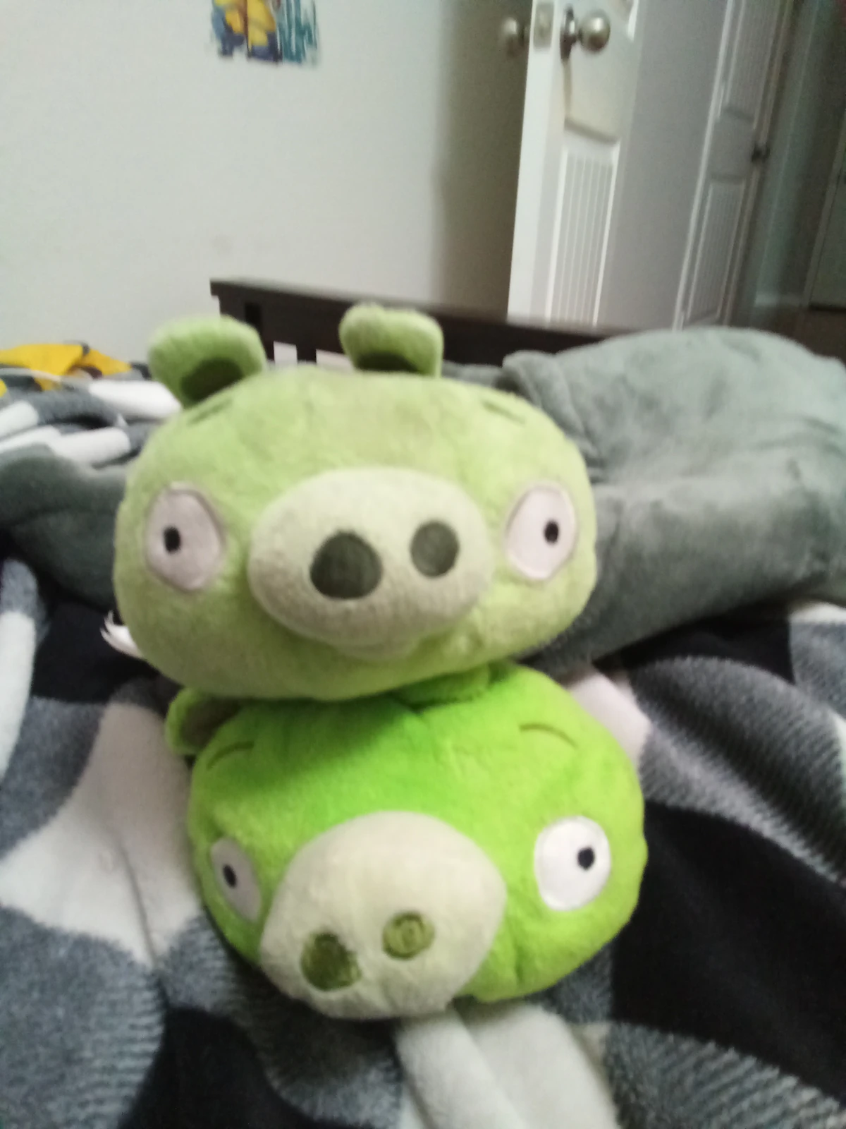 Minion Pigs/Gallery | Hayden Tate Wiki | Fandom