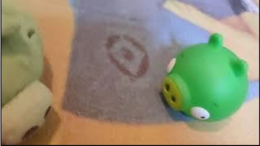Piggies Playing Staring Contest | Hayden Tate Wiki | Fandom