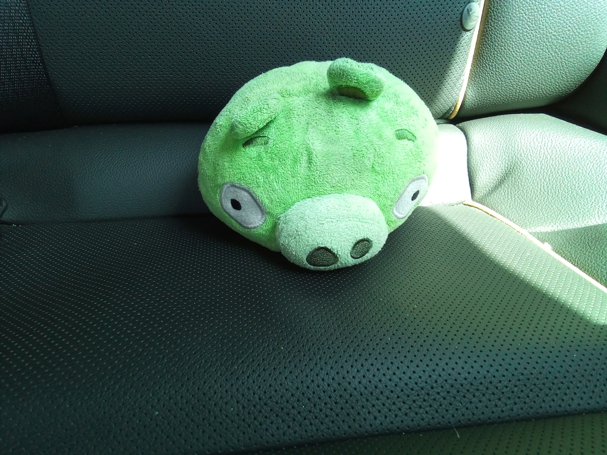 Minion Pigs | Hayden Tate Wiki | Fandom