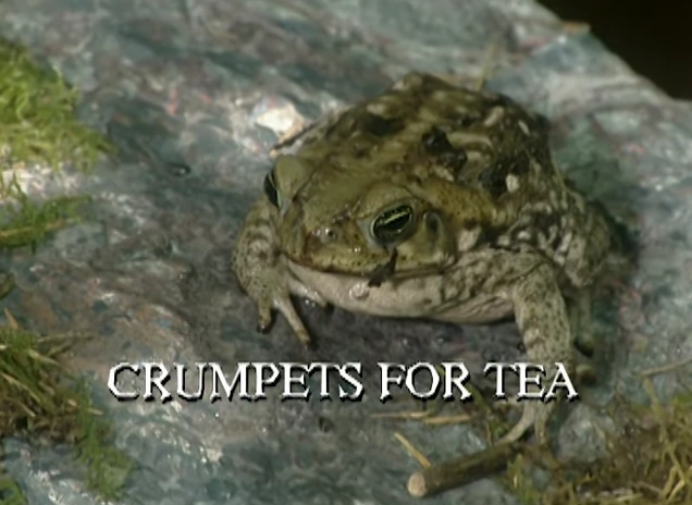 Crumpets for Tea | HBO Family Wiki | Fandom
