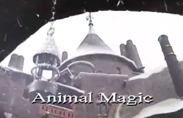 Animal Magic | HBO Family Wiki | Fandom
