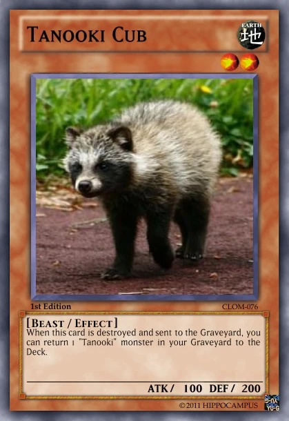 Tanooki Cub | Hippocampus's CCG Wiki | Fandom