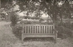 Botanic Garden (Will's world) | His Dark Materials | Fandom