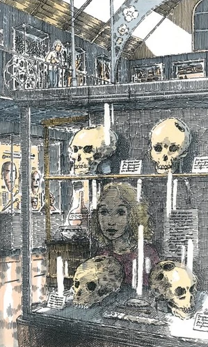 Pitt-Rivers Museum | His Dark Materials | Fandom