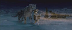 Roger Parslow | His Dark Materials | Fandom