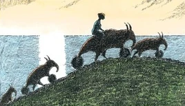 Mulefa | His Dark Materials | Fandom