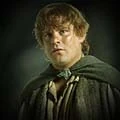 Sam | Der Herr der Ringe-Spiele Wiki | Fandom