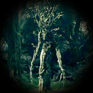 Ent | Der Herr der Ringe-Spiele Wiki | Fandom