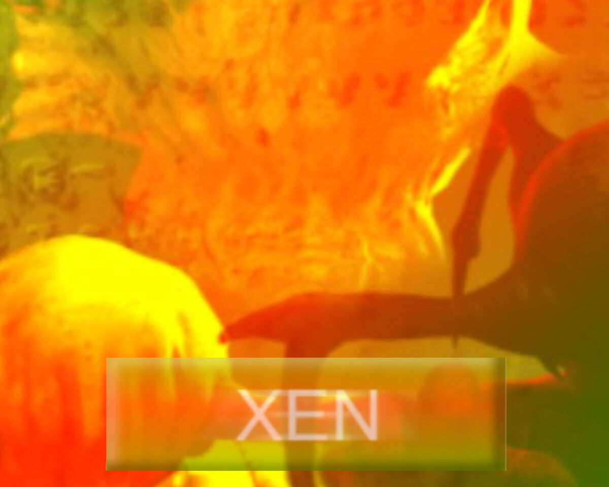 Xen | Headcrab Infection Wiki | Fandom Xen | Headcrab Infection Wiki | Fandom