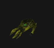 Bullsquid | Headcrab Infection Wiki | Fandom