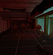 Pit Drone | Headcrab Infection Wiki | Fandom