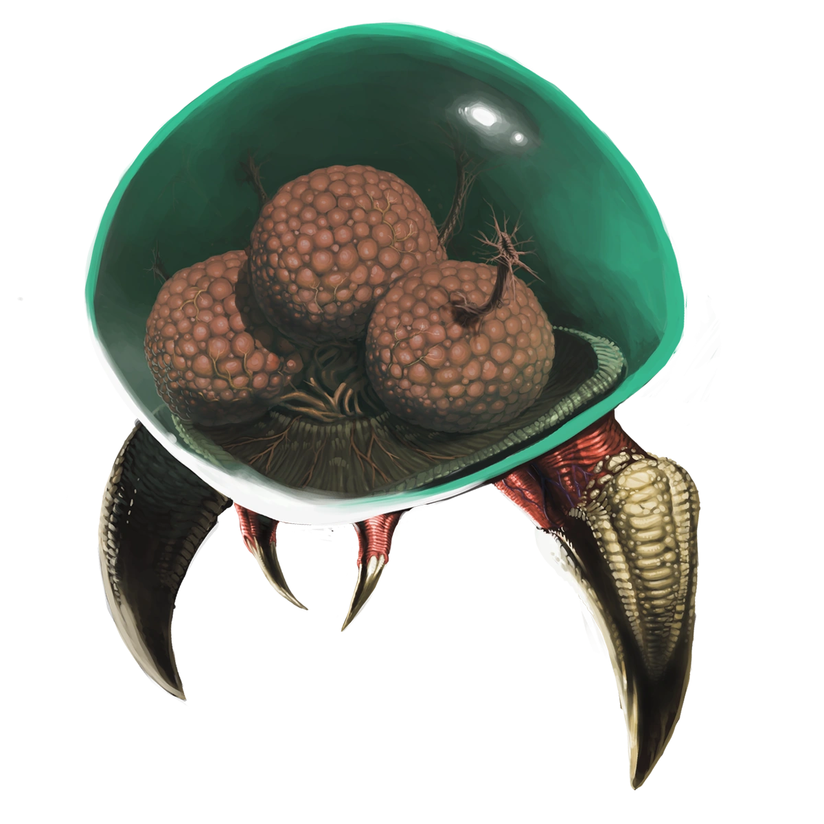 Metroid | Headhunter Wiki | Fandom