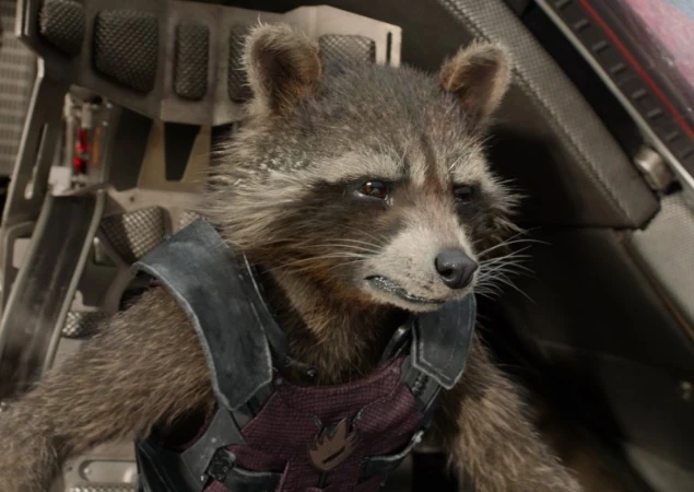 Raccoons | Headhunter's Holosuite Wiki | Fandom