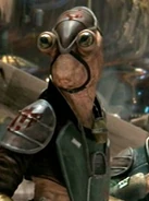 Star Wars races | Headhunter's Holosuite Wiki | Fandom