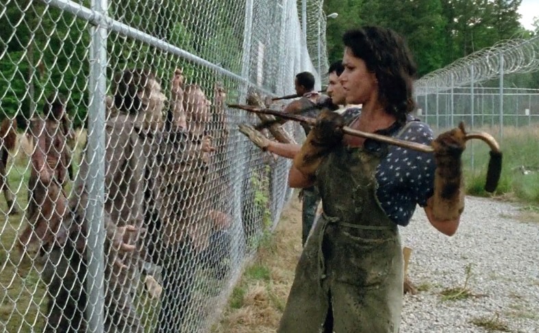 Walking Dead 30 Days Without An Accident Headhunters Holosuite Wiki