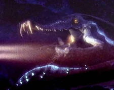 Colo claw fish | Headhunter's Holosuite Wiki | Fandom