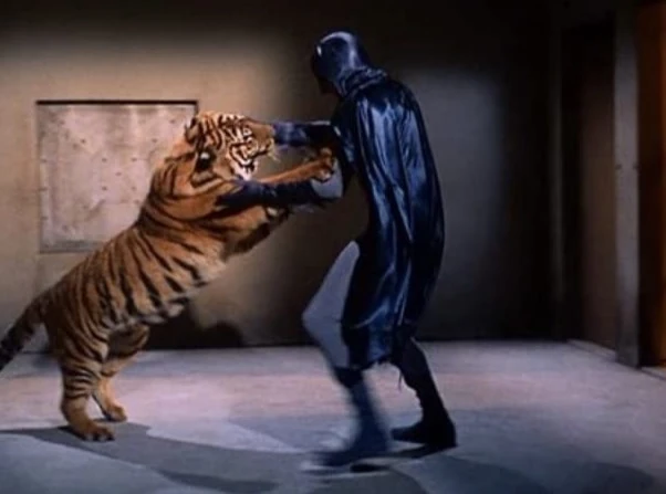 Batman: Better Luck Next Time | Headhunter's Holosuite Wiki | Fandom