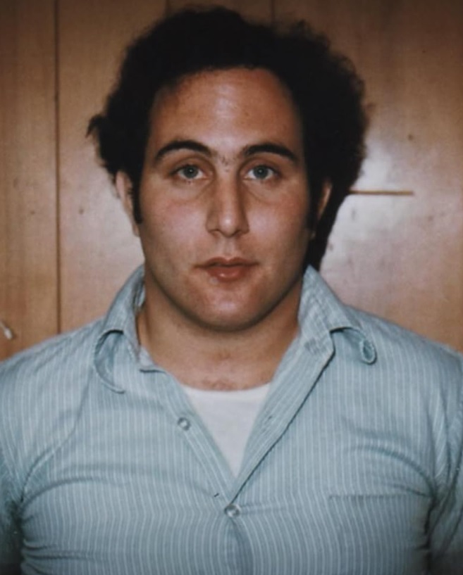 David Berkowitz Headhunters Holosuite Wiki Fandom