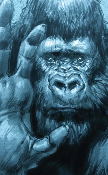 Malavar | Headhunter's Holosuite Wiki | Fandom