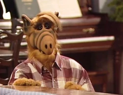 ALF: Love on the Rocks | Headhunter's Holosuite Wiki | Fandom