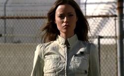 Terminator: To the Lighthouse | Headhunter's Holosuite Wiki | Fandom