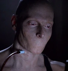 Mute, The | Headhunter's Holosuite Wiki | Fandom