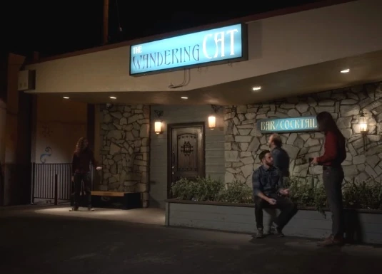 Wandering Cat | Headhunter's Holosuite Wiki | Fandom