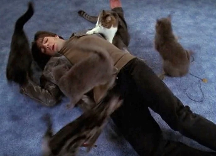 Charmed: Cat House | Headhunter's Holosuite Wiki | Fandom