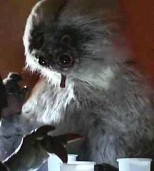 Muftak | Headhunter's Holosuite Wiki | Fandom