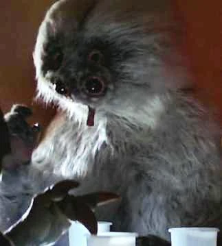 Muftak | Headhunter's Holosuite Wiki | Fandom