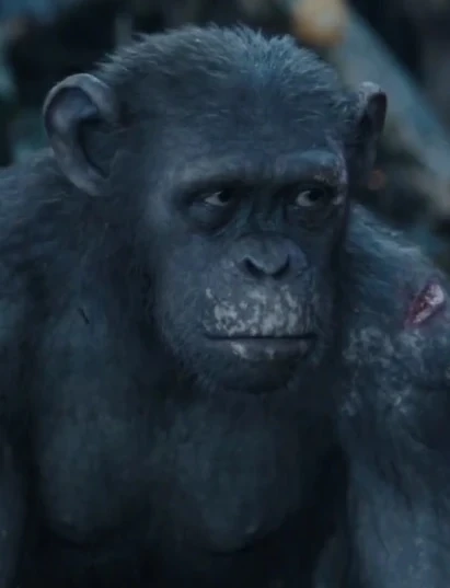 Ash/POTA | Headhunter's Holosuite Wiki | Fandom