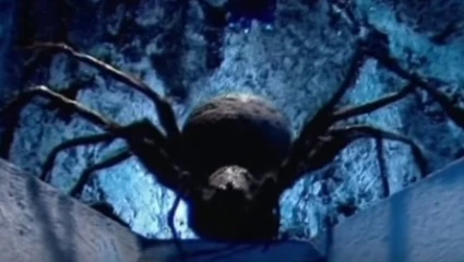 Doctor Who: Planet of the Spiders | Headhunter's Holosuite Wiki | Fandom
