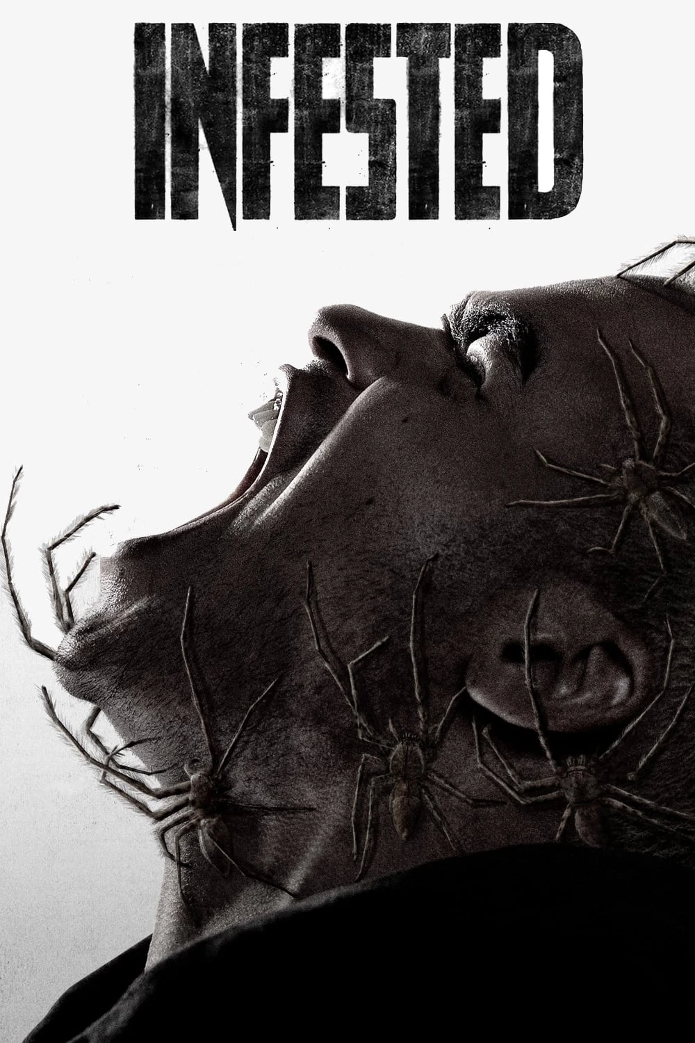 Category:Tandem | Headhunter's Horror House Wiki | Fandom
