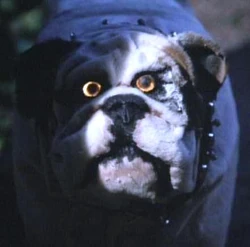 Tales from the Crypt: Collection Completed | Headhunter's Horror House ...