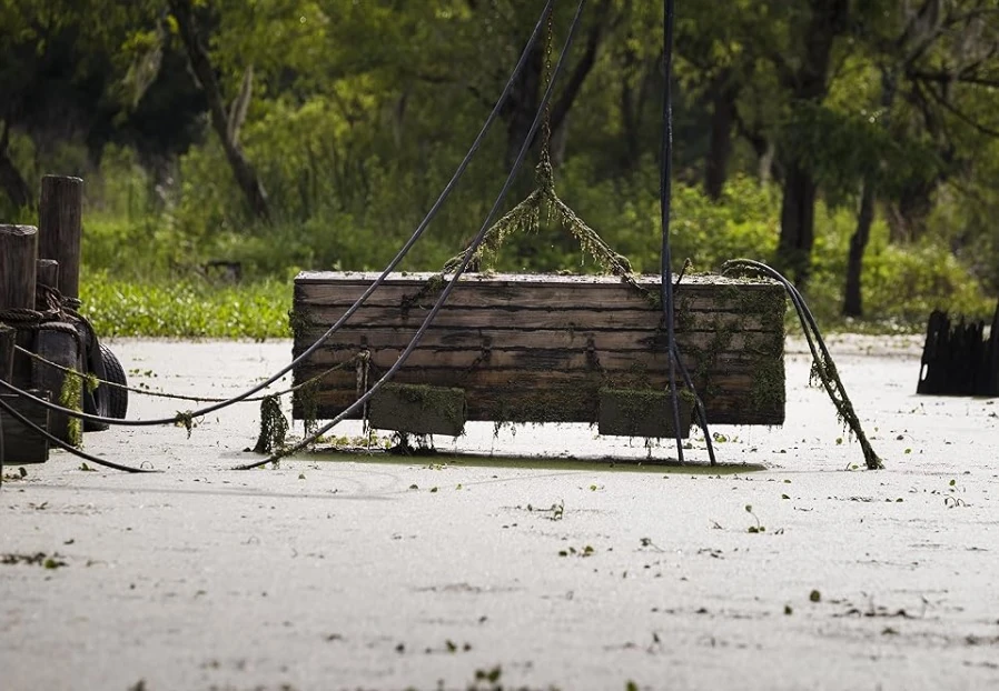 Category:Stephanie Dunnam | Headhunter's Horror House Wiki | Fandom