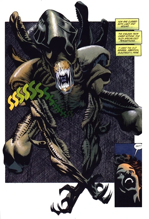 Norbert | Headhunter's Horror House Wiki | Fandom