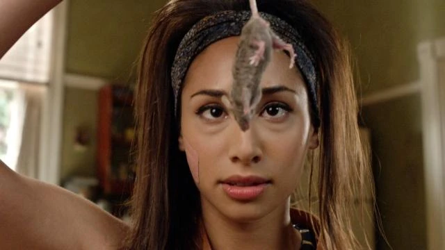 Mice | Headhunter's Horror House Wiki | Fandom