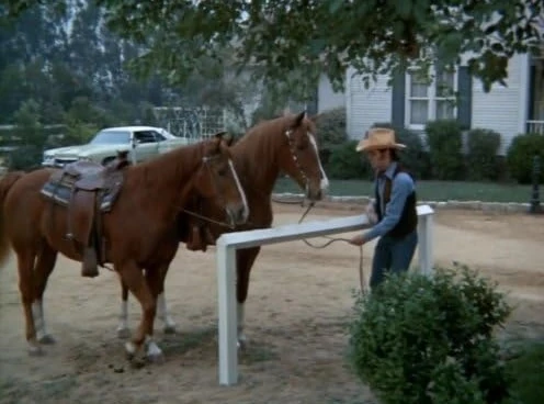 Category:Don Ingalls | Headhunter's Horror House Wiki | Fandom