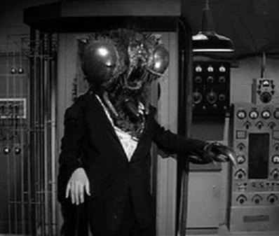 Flies | Headhunter's Horror House Wiki | Fandom