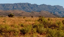 Australian Outback | Headhunter's Horror House Wiki | Fandom